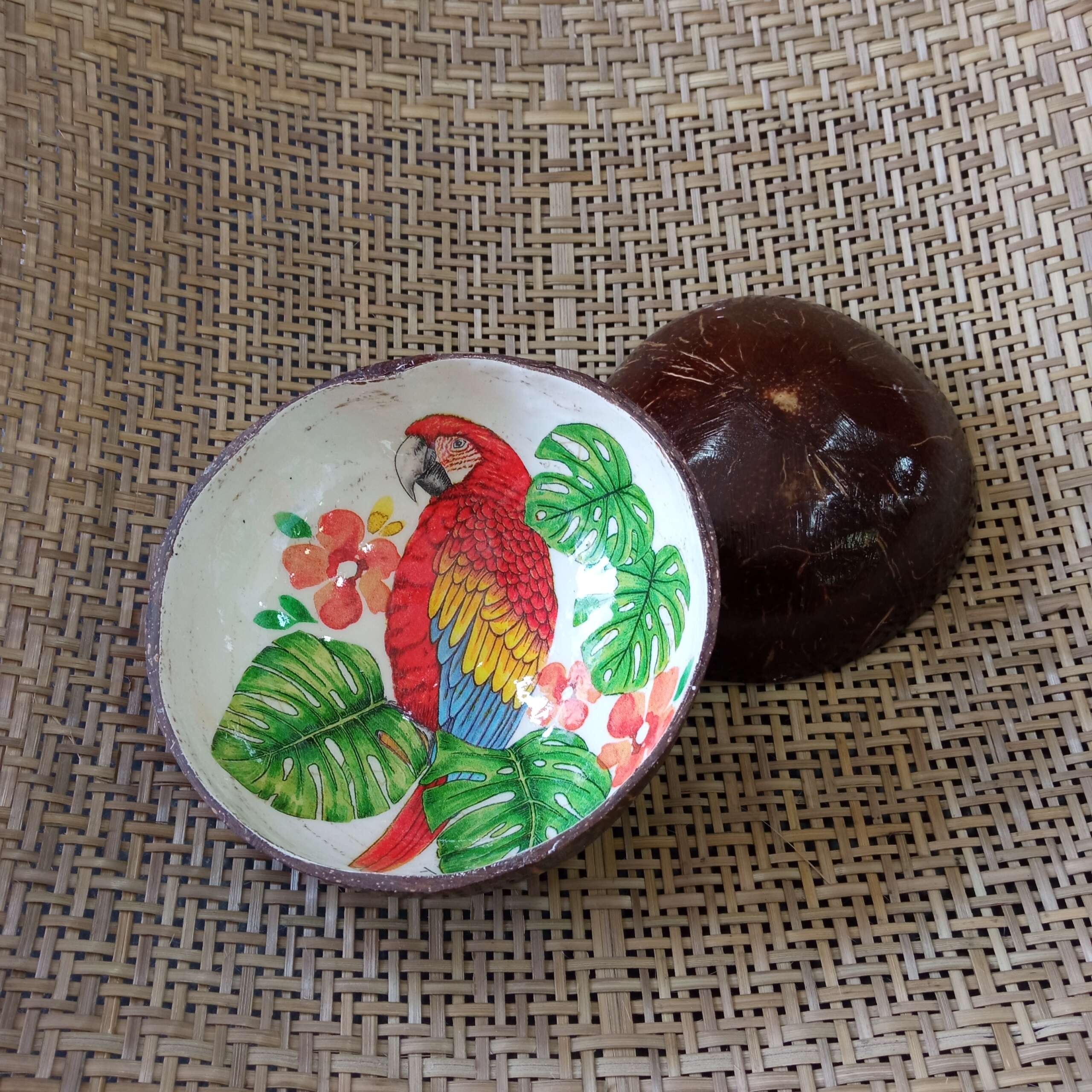 Cuia de coco decorada com temas da natureza